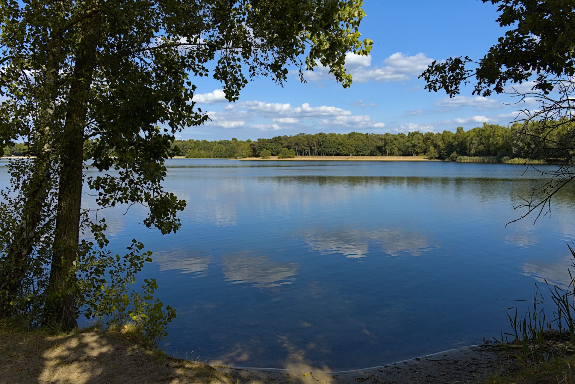 Locatieprofiel voor evenementen bij de Geffense Plas - Wijk Ruwaard
